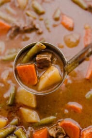 No-Peek Beef Stew - Thriving Home