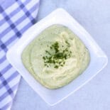 Cilantro Lime Aioli - Thriving Home