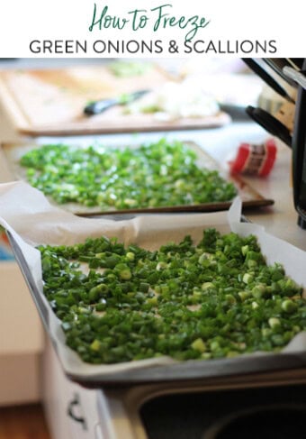 How to Freeze Green Onions & Scallions {The EASY way!}