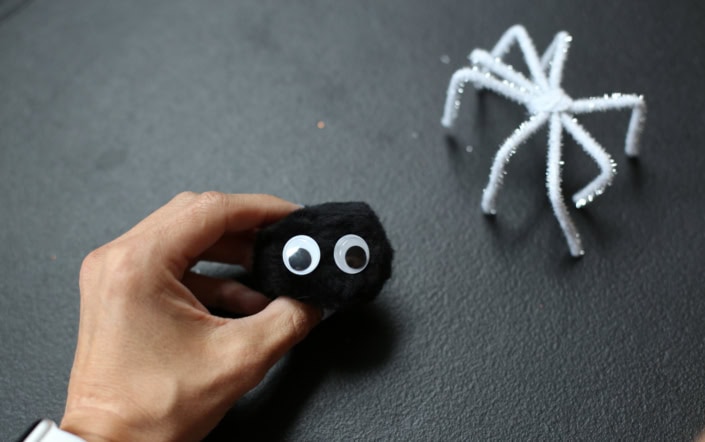 Pipe Cleaner Spider Craft {Video Tutorial} - Thriving Home