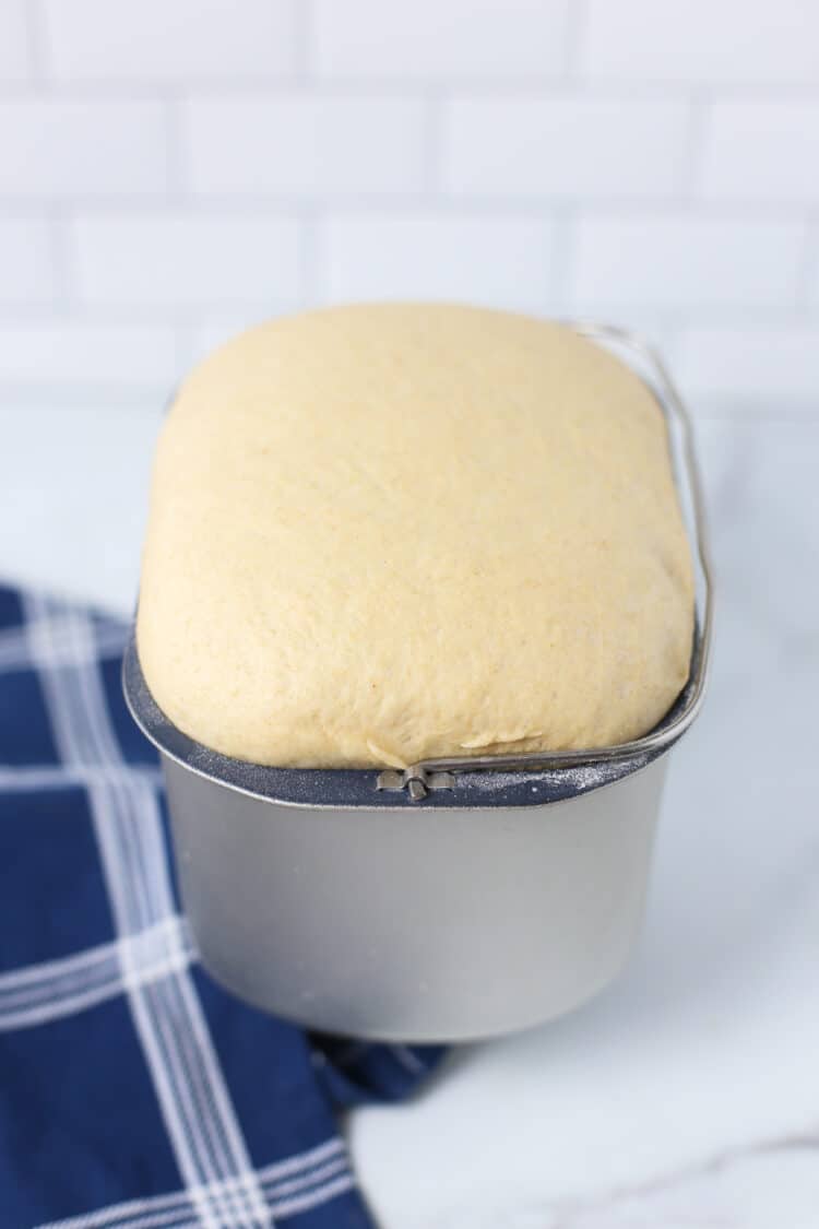 Bread Machine Dinner Rolls (Soft and Fluffy!) - Thriving Home