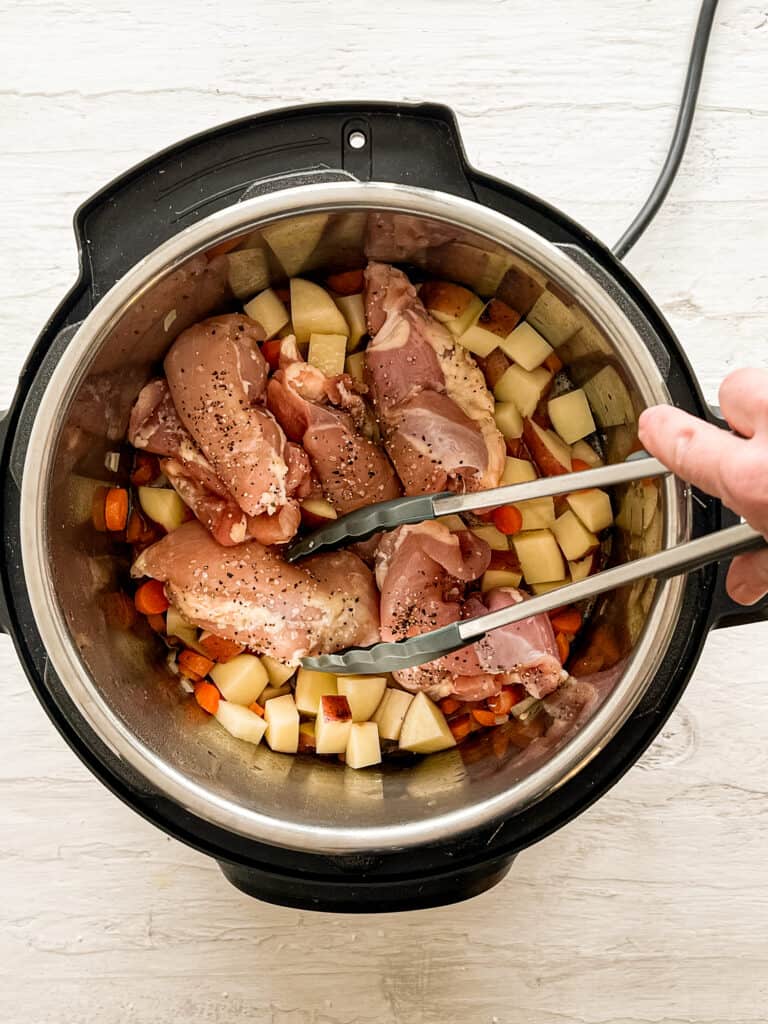 Instant Pot Dump Recipes (Well-Tested!)