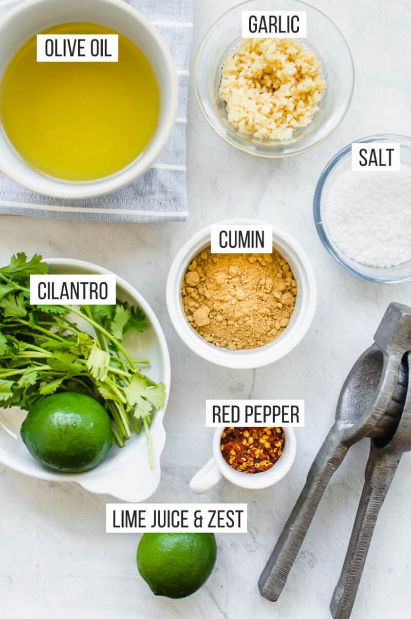 Cilantro Lime Chicken Marinade (6 Ingredients!) - Thriving Home