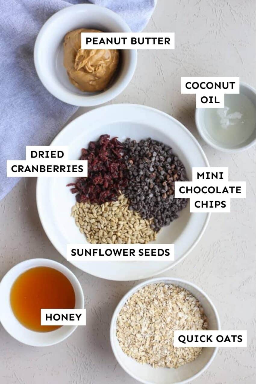 No Bake Peanut Butter Protein Bars - Thriving Home
