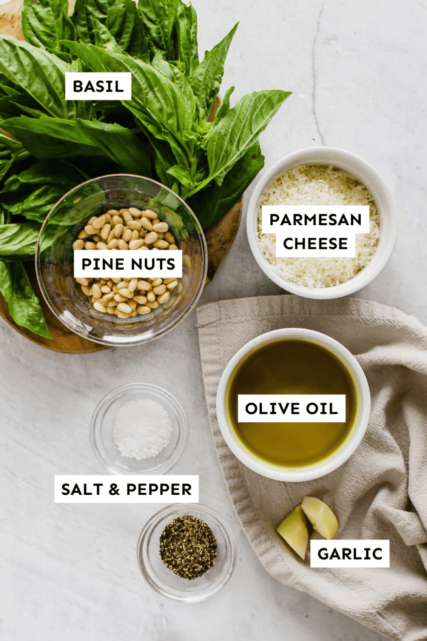 5-Ingredient Homemade Pesto Recipe - Thriving Home